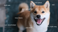 What is a Memecoin? Pepe, Doge, Shiba, Bonk, and Dogwifhat